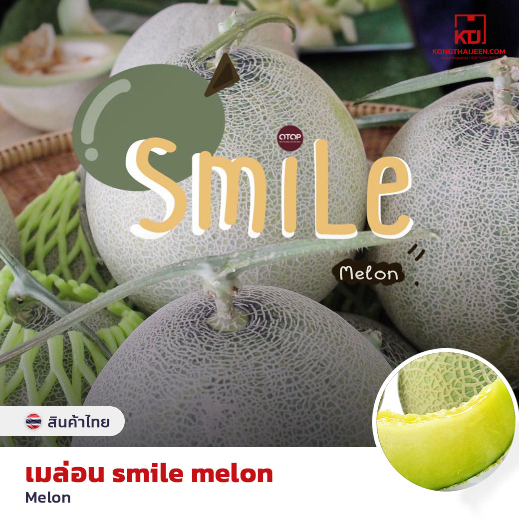 เมล่อน Smile Melon | KongThaiJeen.com